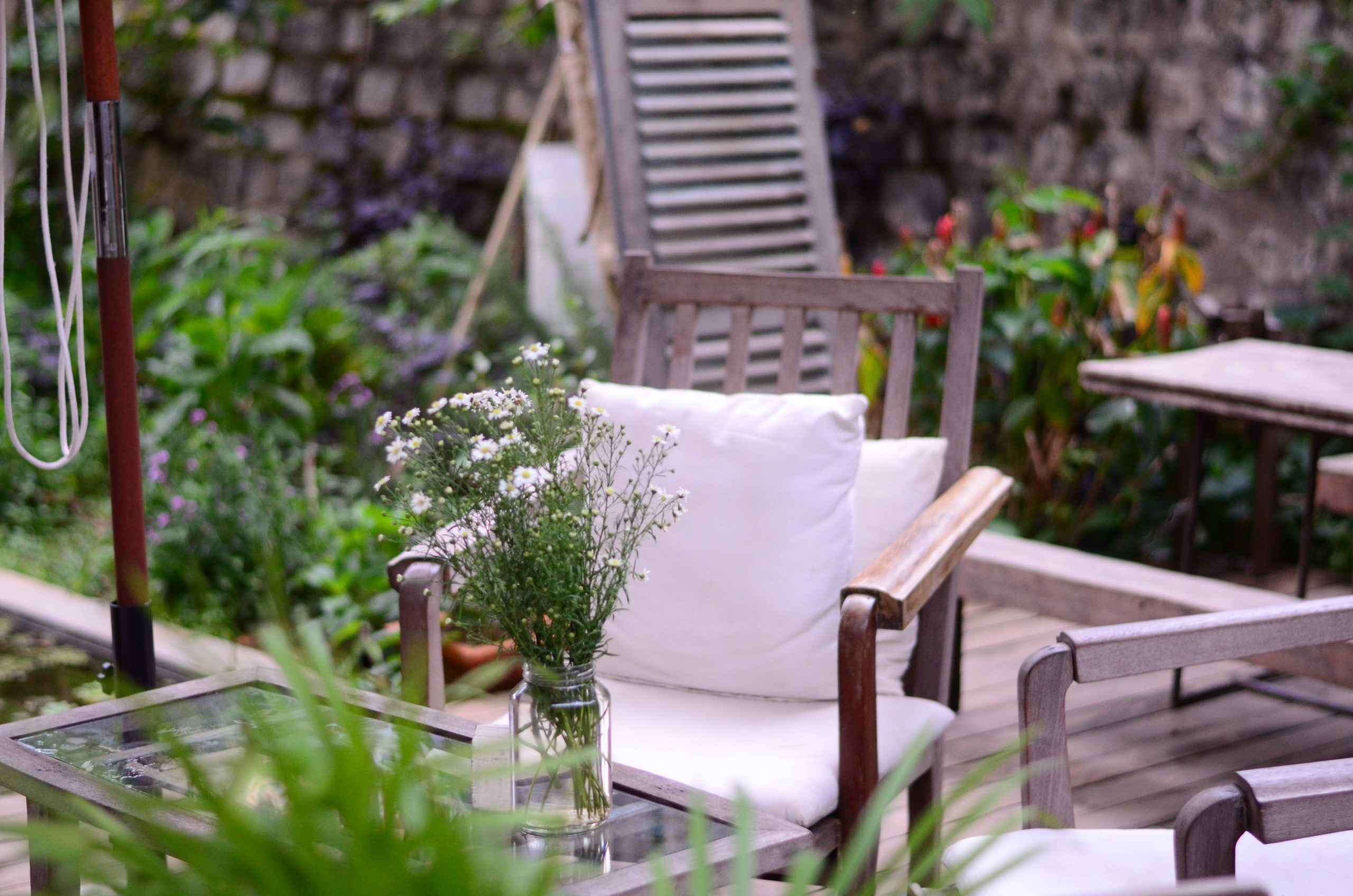 Creating a Summer Oasis - DDA